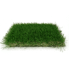 Arizona Platinum Spring Artificial Grass | Purchase Green
